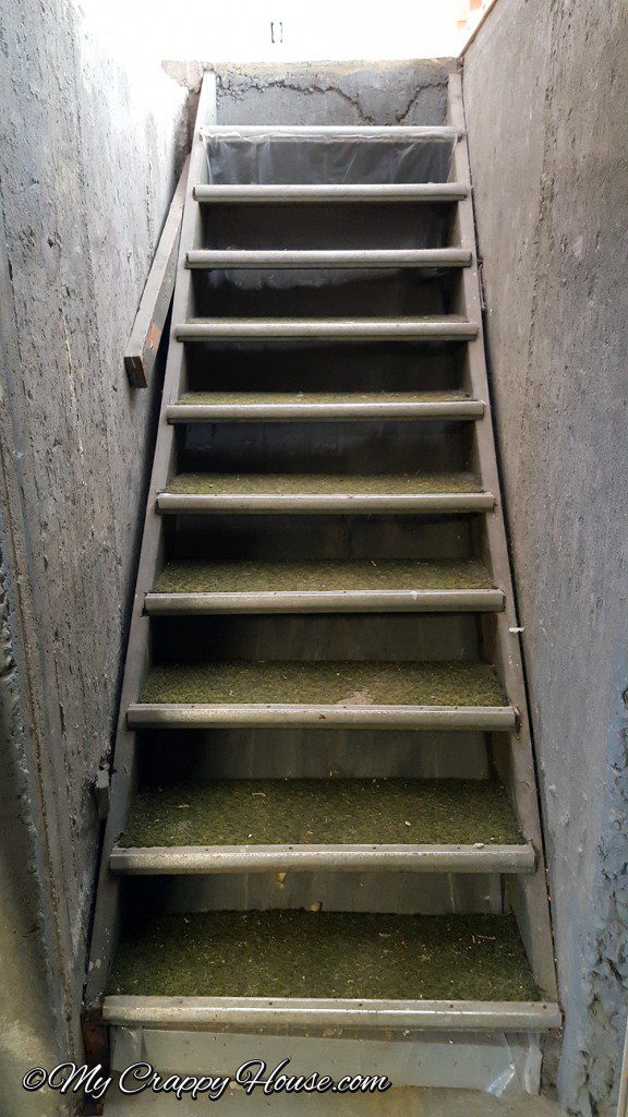 Off The Chain | My Crappy House