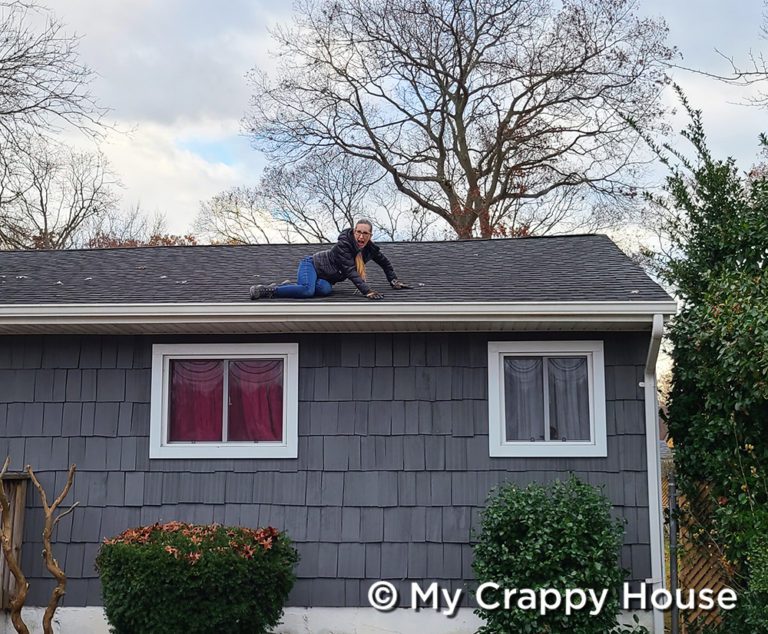 How to Climb Up on the Roof When You’re Terrified of Heights | My ...