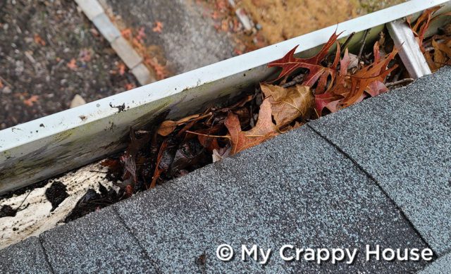 How to Climb Up on the Roof When You’re Terrified of Heights | My ...