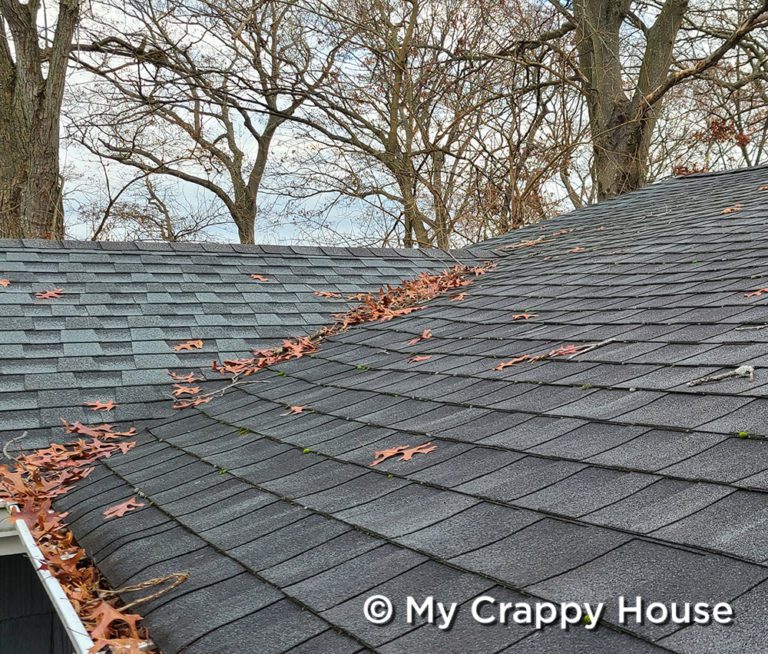 How to Climb Up on the Roof When You’re Terrified of Heights | My ...