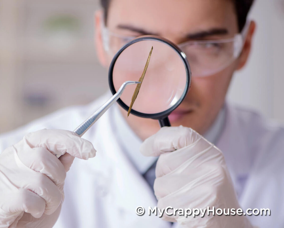 We Built a Deck! | My Crappy House